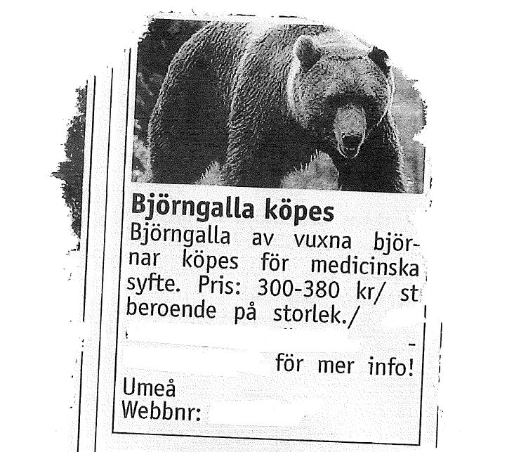 Misstänks för brott efter tidningsannons