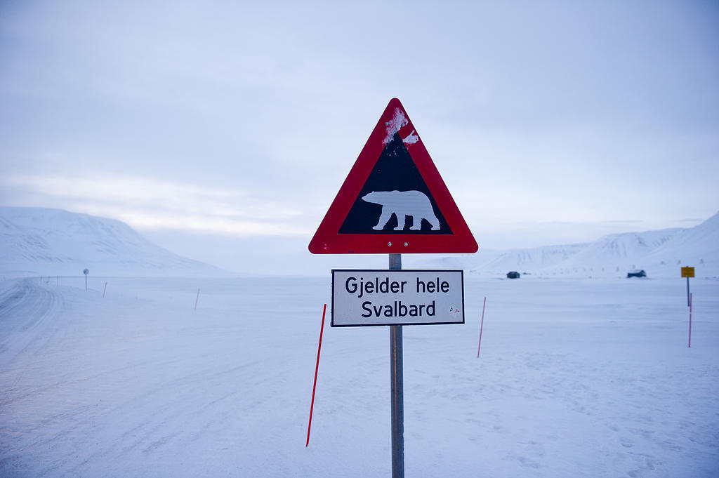 Sjöman angreps av isbjörn på Svalbard