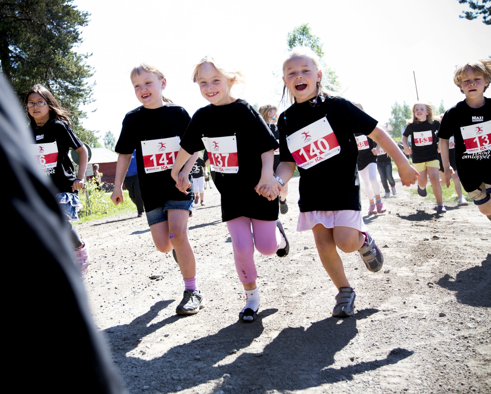Alla vinnare i Lilla Blodomloppet