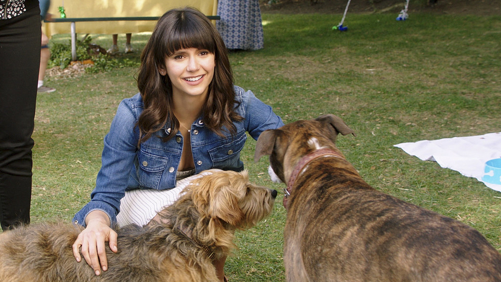 Filmrecension: Dog days