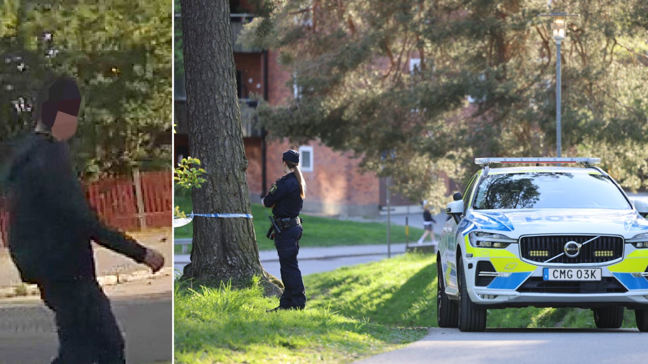 Perrongmördaren åtalas För Mordförsök På Kvinna