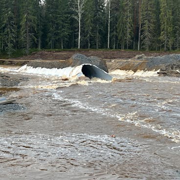 Riktigt nära nyheter | Nordsverige