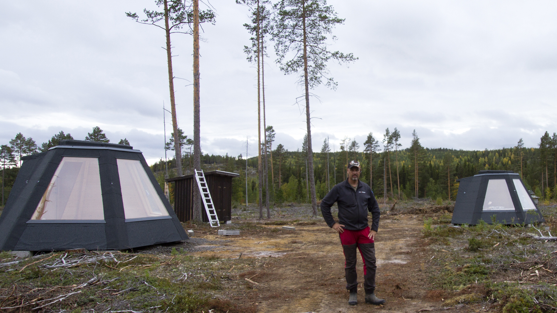 Donald jagar Norrskenet