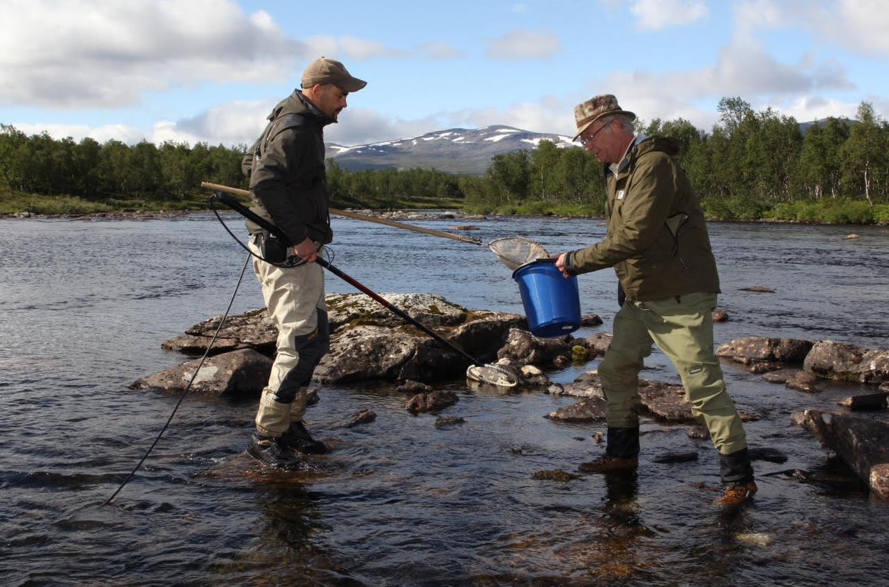 Satsning gav kungligt fiske