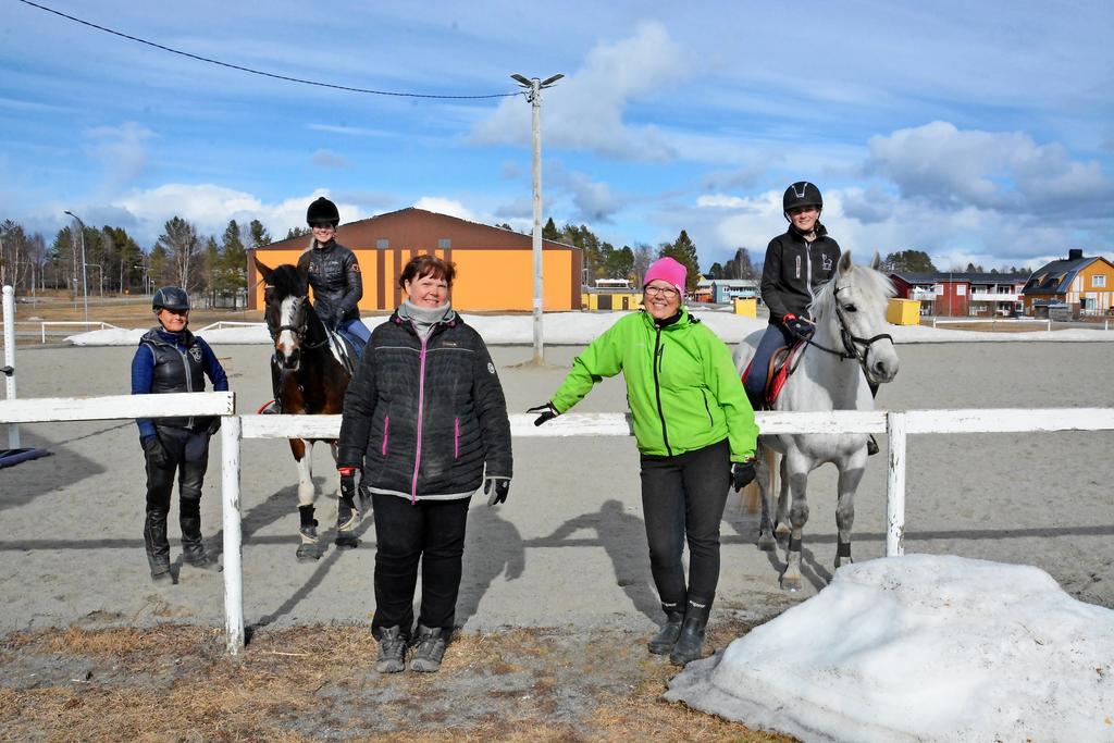 Ridklubben med kraft som en myrstack