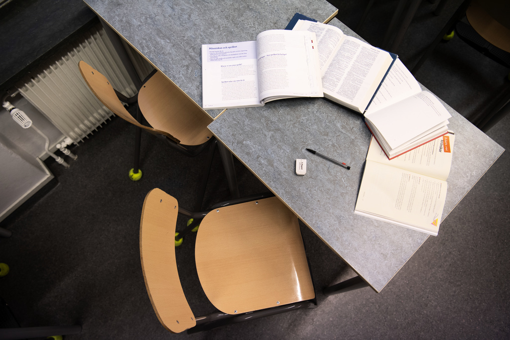 Många Waldorfskolor brister i sin undervisning