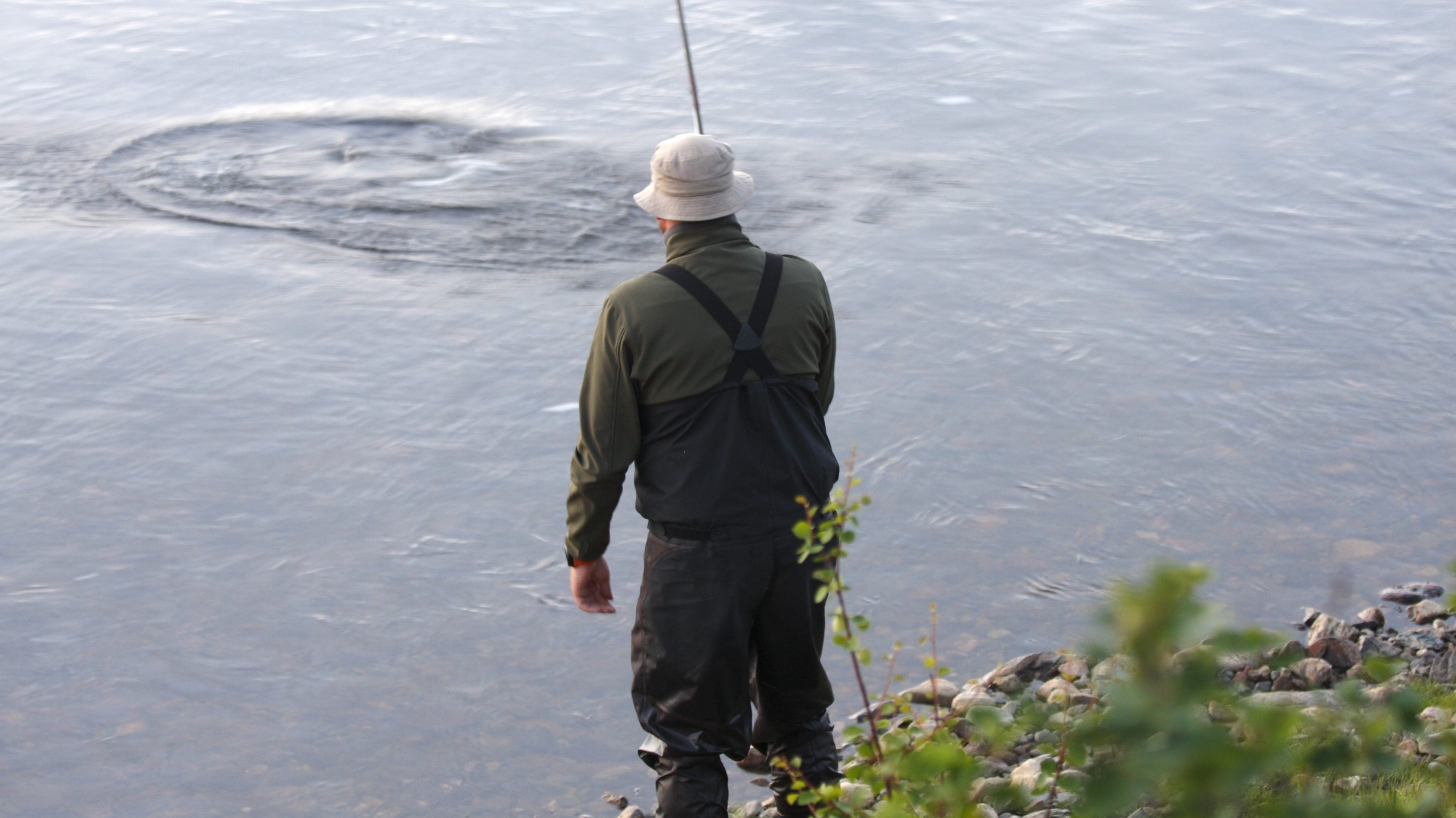 Kritiker: "Försöker Sveaskog provocera fram olovligt fiske?"