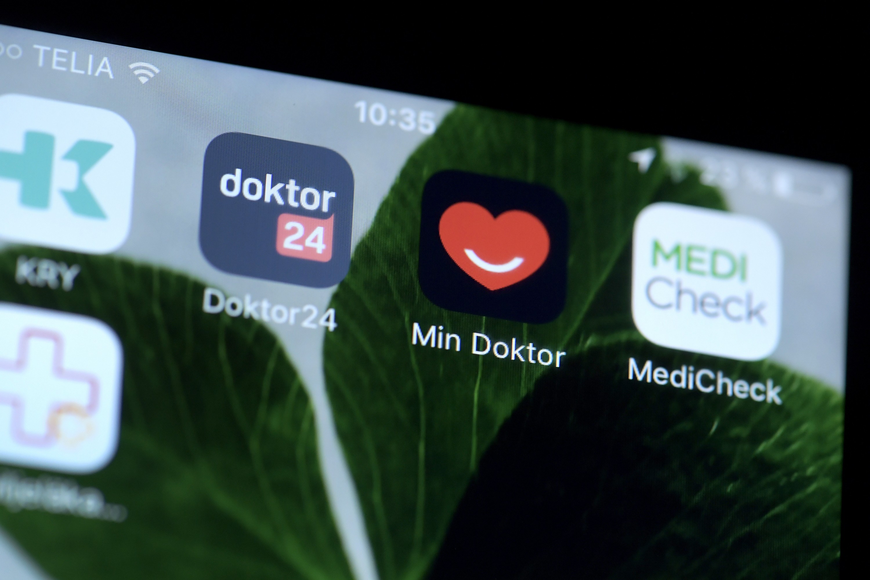 IVO ser risker och granskar nätläkarna