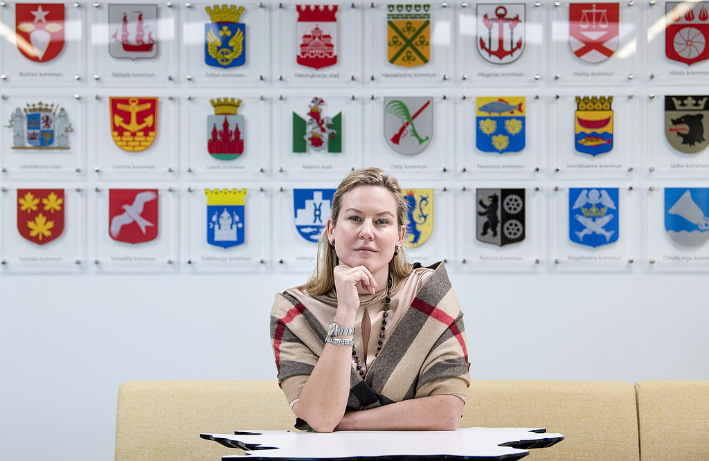 Upp till bevis för SD i kommunerna
