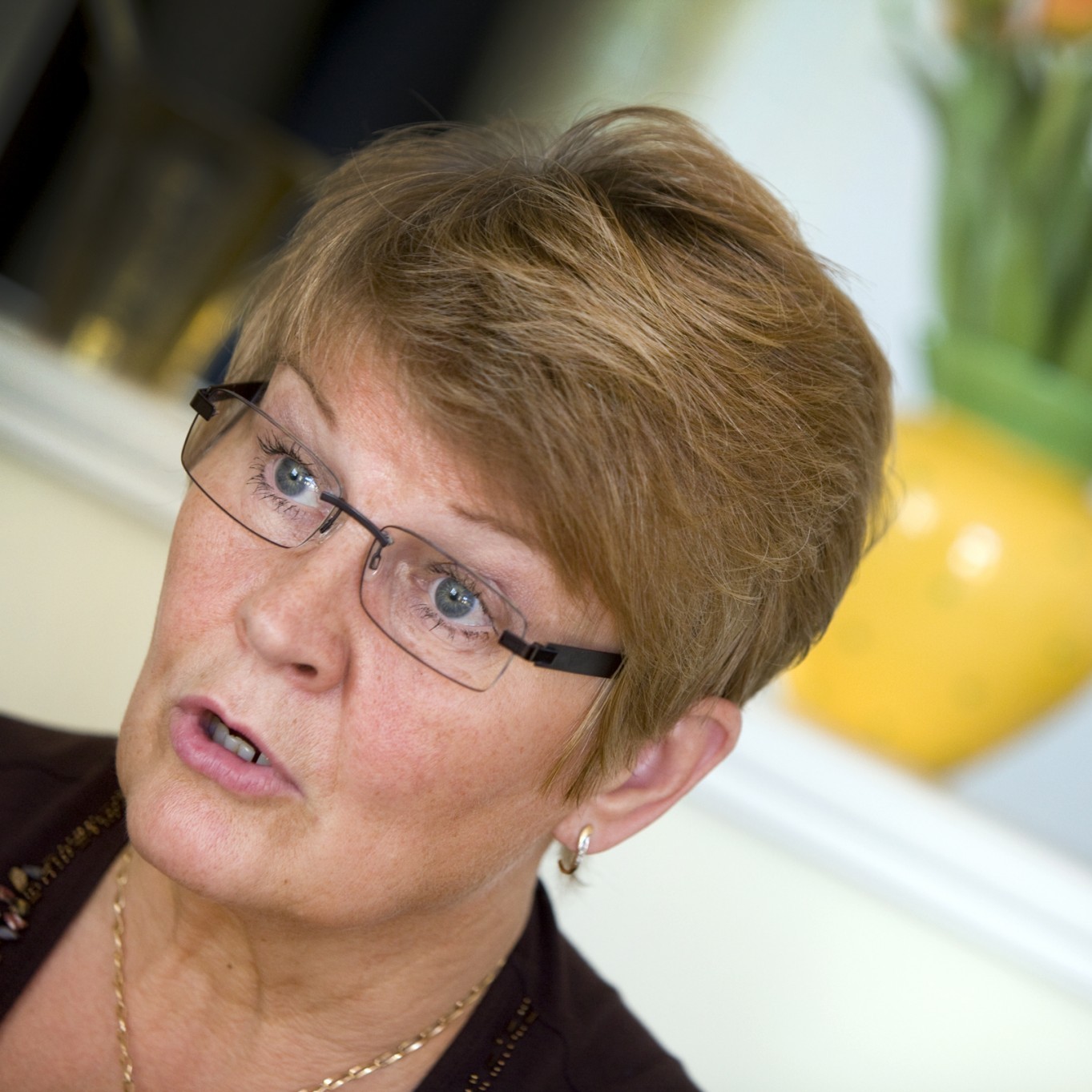 Maud Olofsson har flyttat från länet