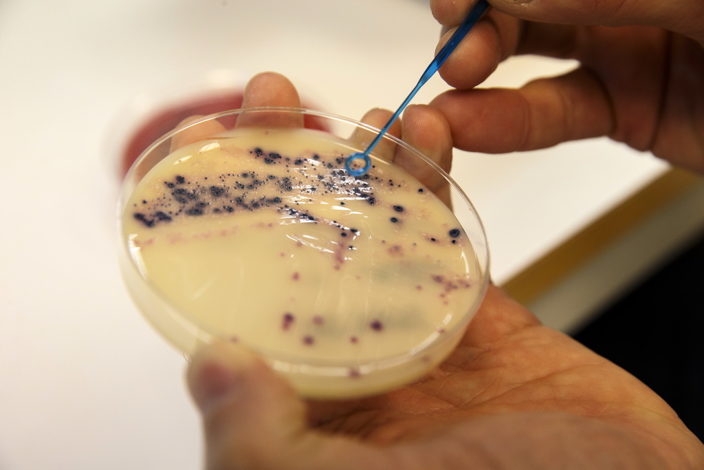 Nanoplast i din kropp kan blockera antibiotika