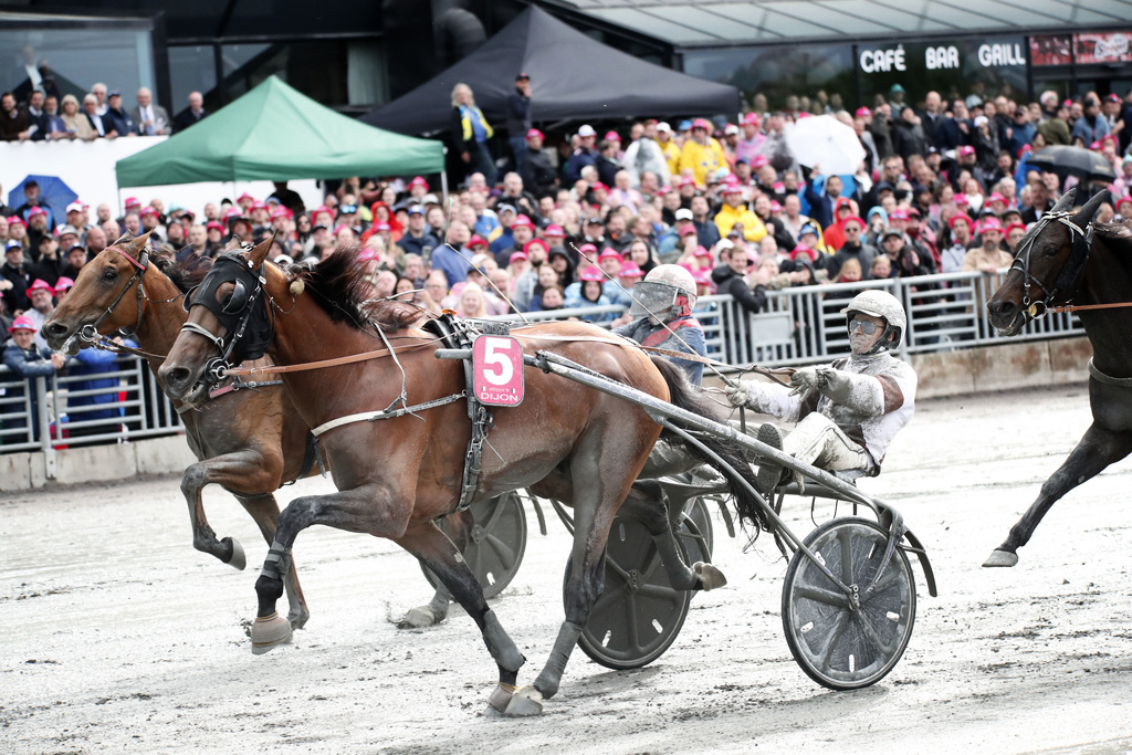 Guide: Allt du behöver veta om Elitloppet