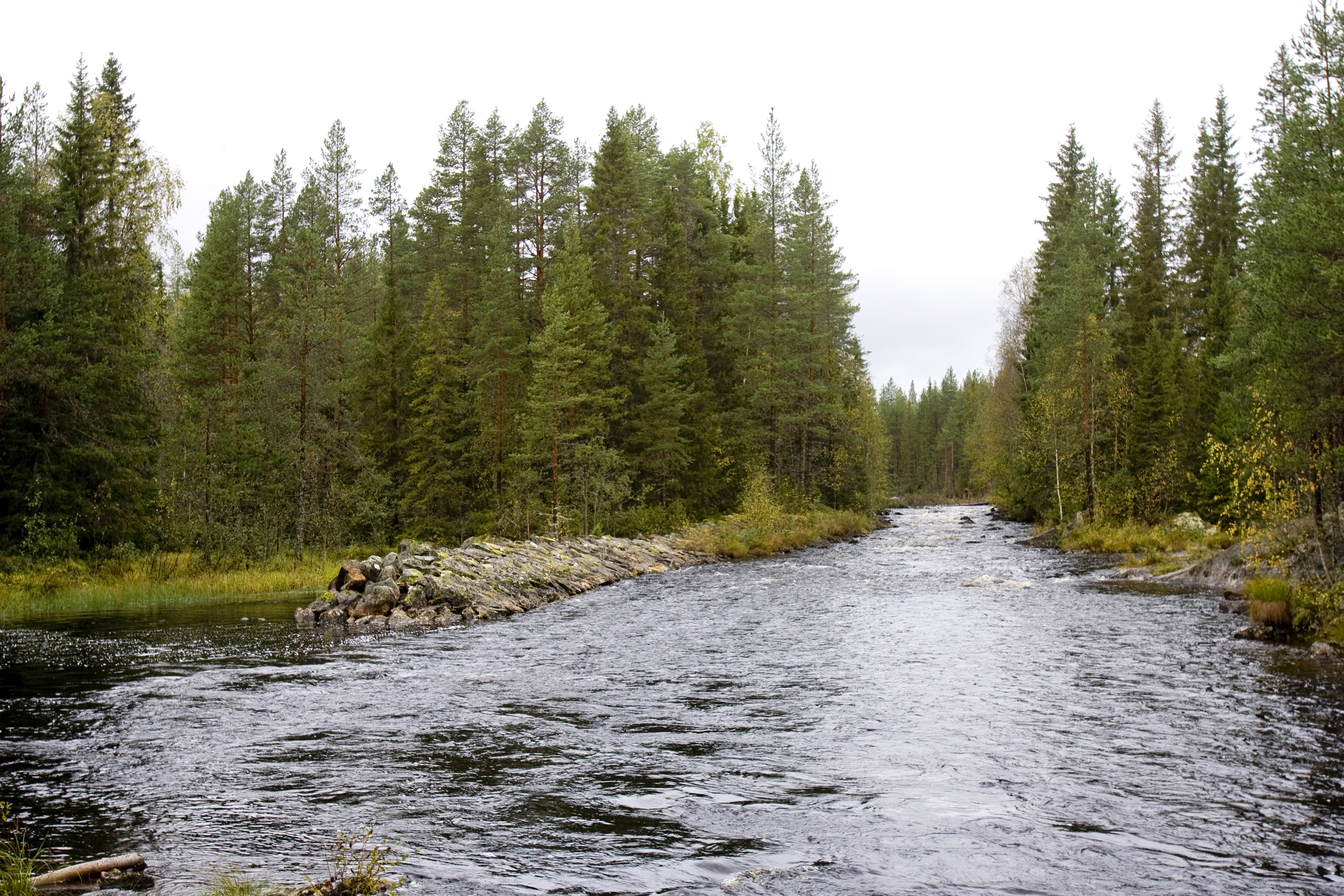 Ordet fritt: Svårt att komma åt och fiska i Sävarån