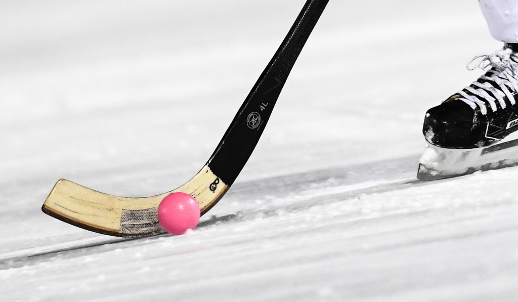 Allsvenska fyran tar plats i elitserien