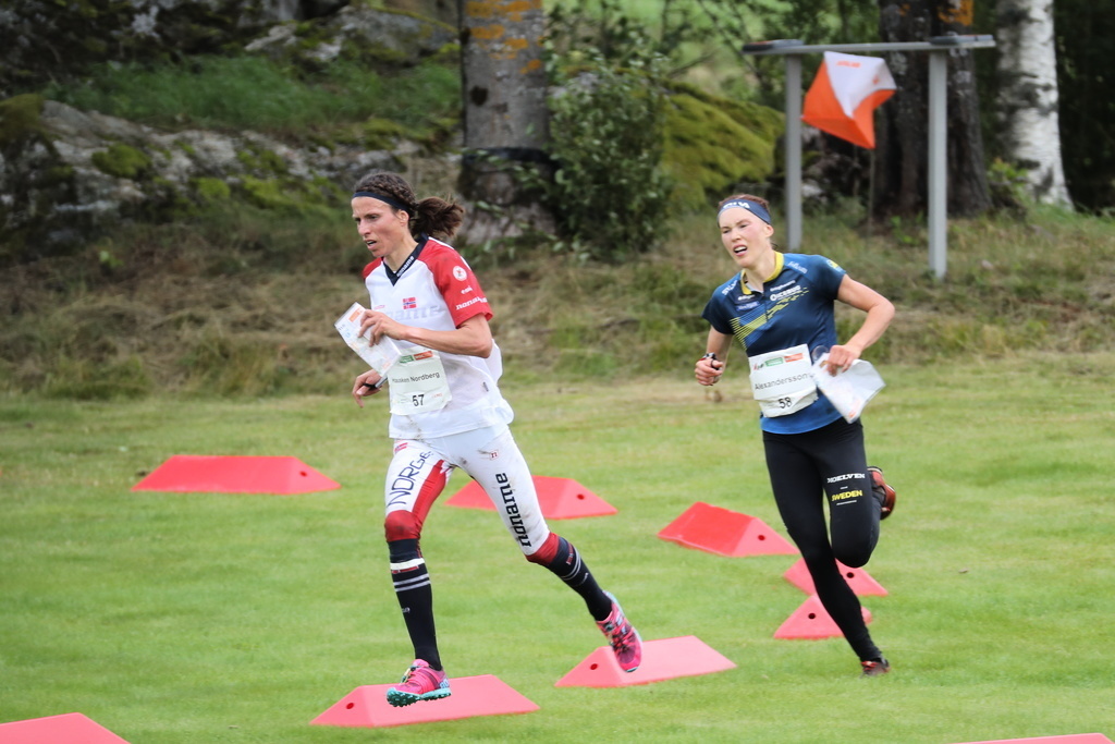 "Bara" silver för Alexandersson i SM-stafetten