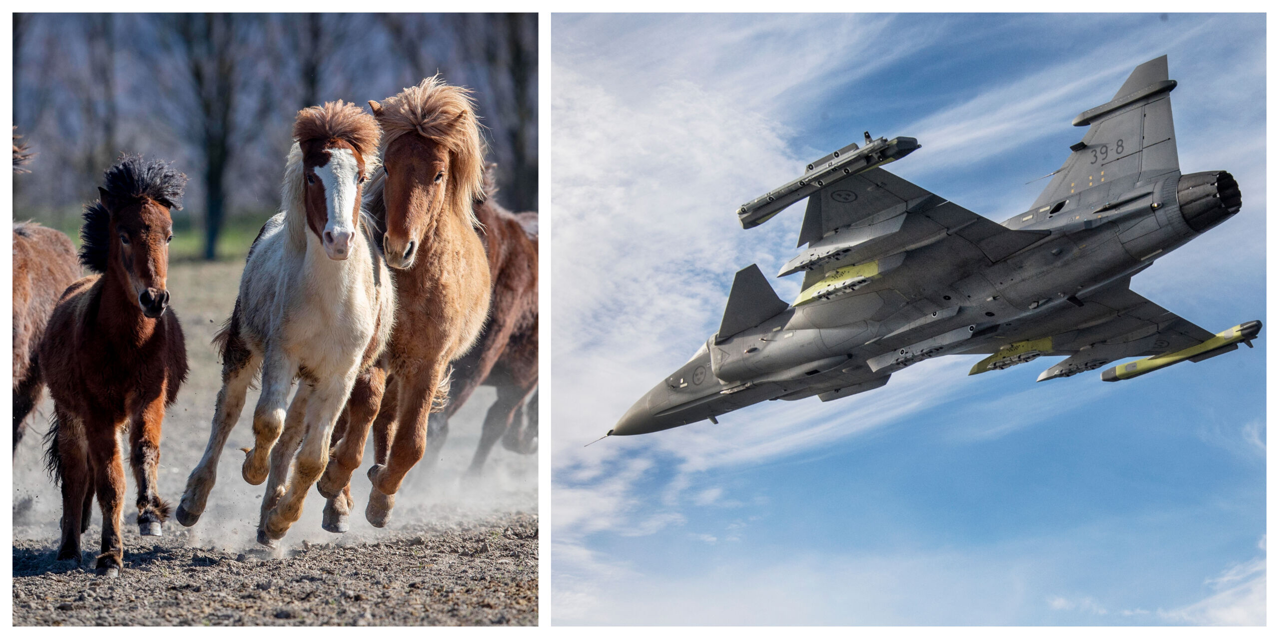Chockades när Jas-plan flög på låg höjd – ”Såg huvudet på piloterna”