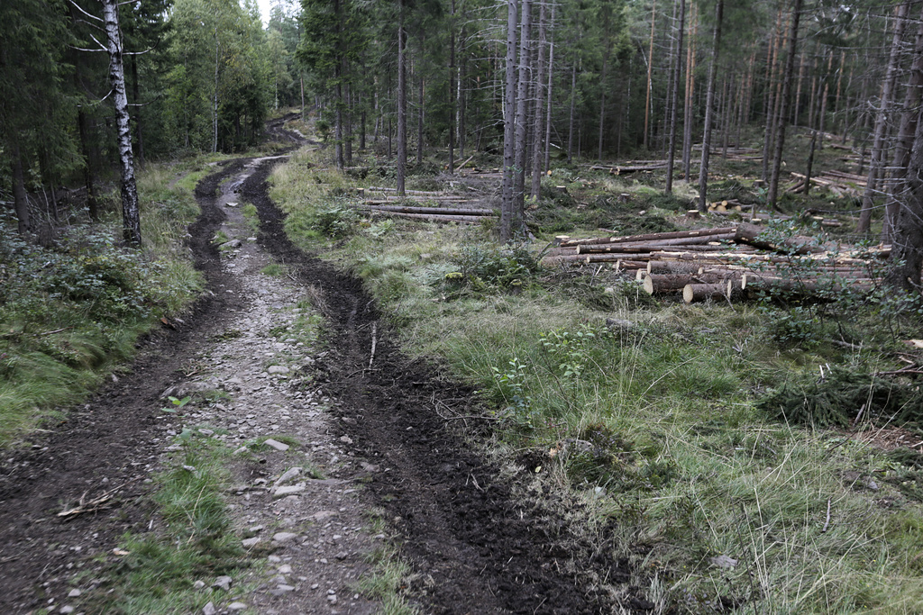 Sverige ser ut att bomma klimatmål
