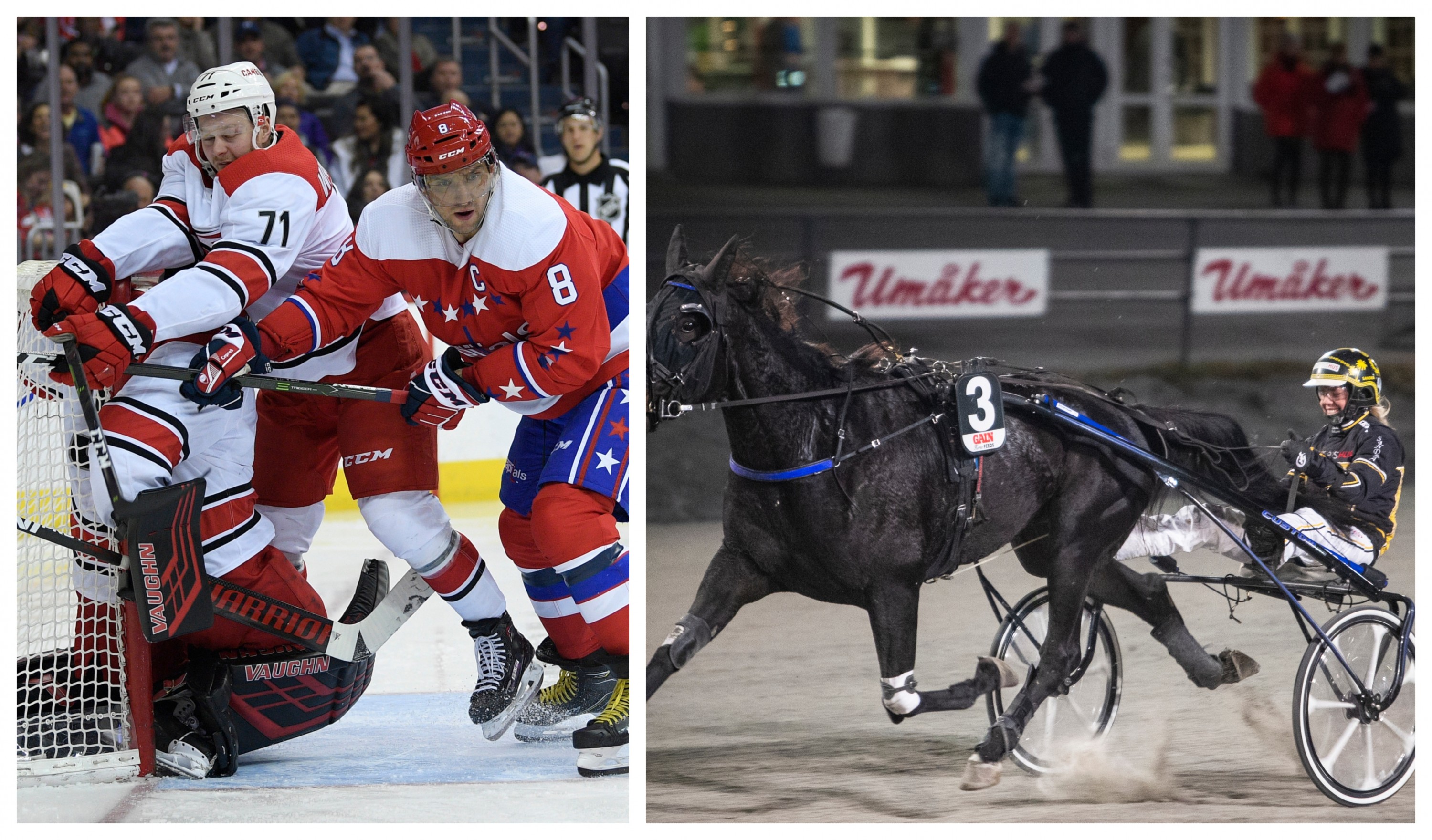 Laddar med Umåker-trav under NHL-slutspelet