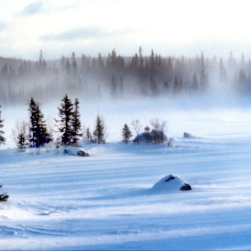 Brrr: Västerbotten kallast i Sverige på morgonen