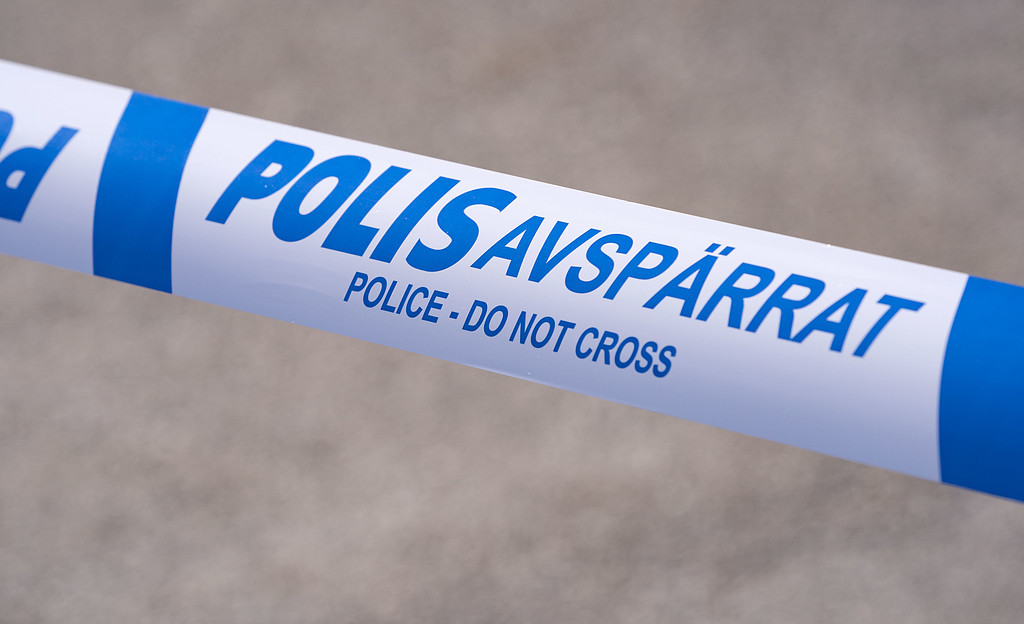 Kidnappade hunden Coco är tillrätta