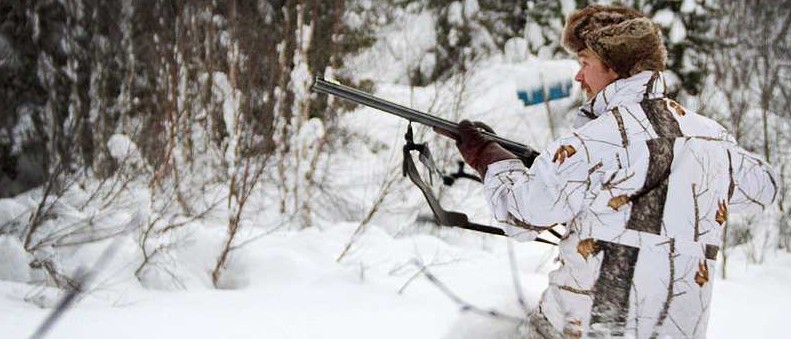 Sponsrad jakt på rödräv