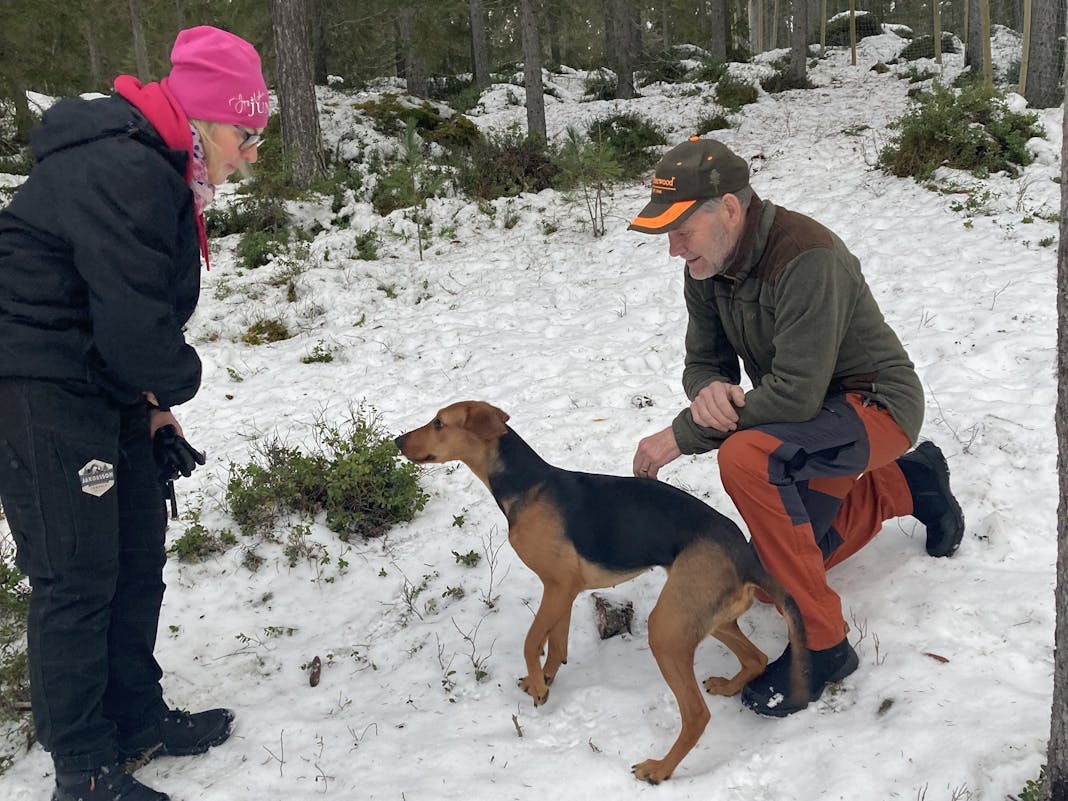 Hundhägn har förverkligats i Kåtabyn