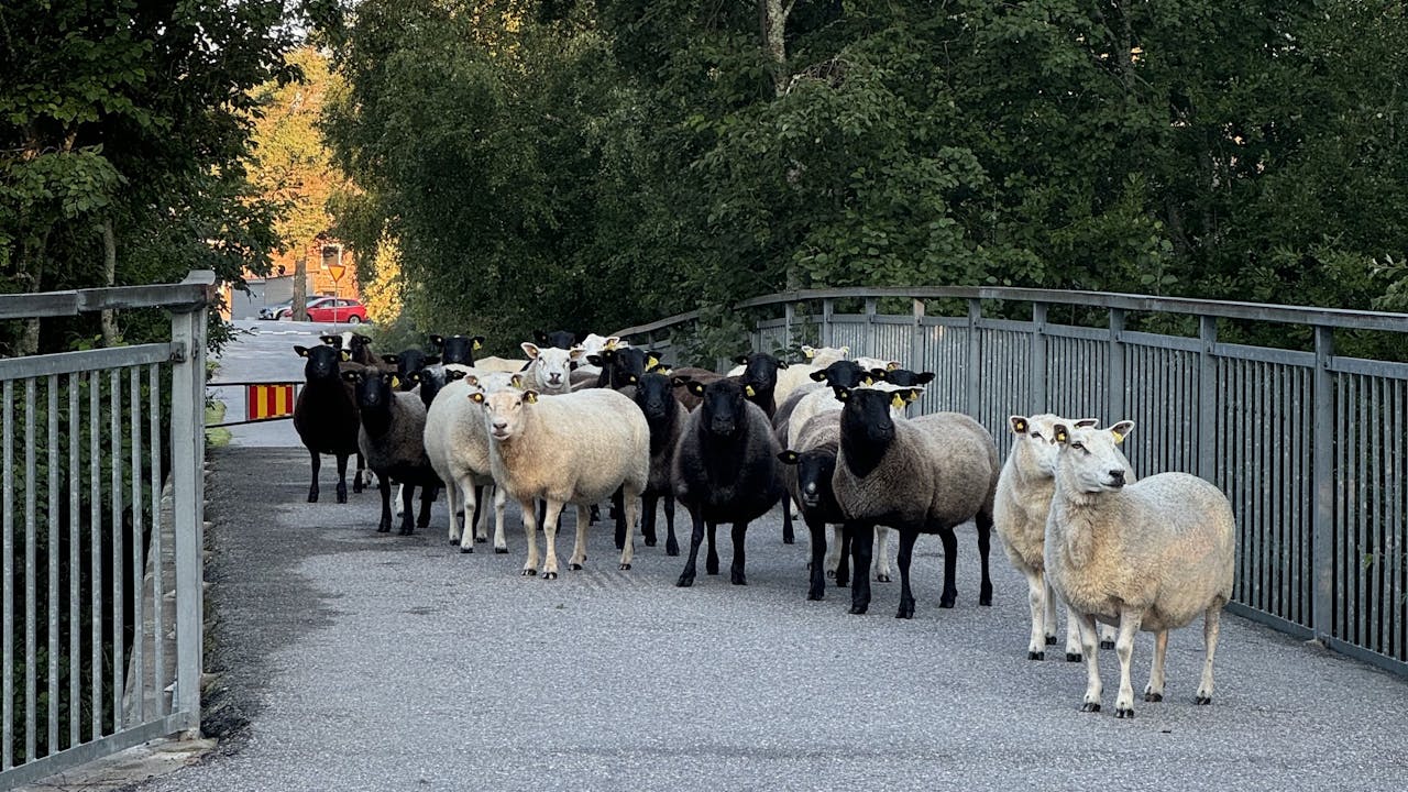 Överraskningen: ”De stod bara där och stirrade på mig”