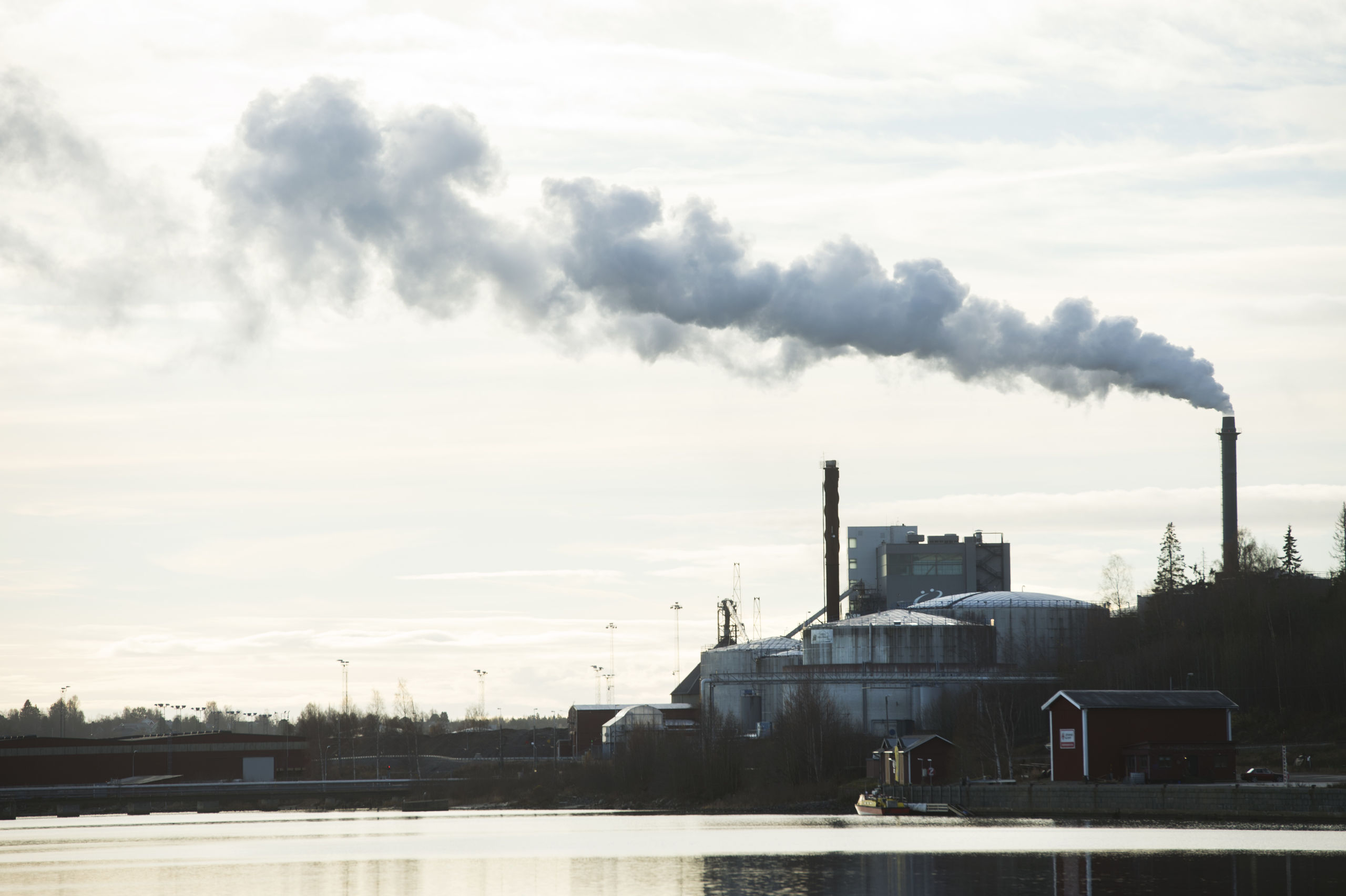 Demokratins utmaningar i klimatkrisens tid